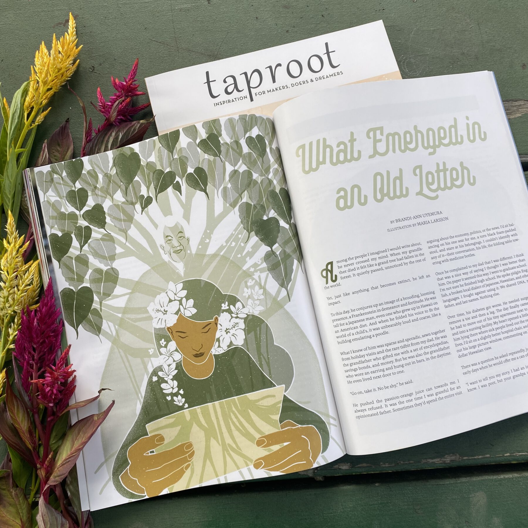 Maria Larsson at Illustratörcentrum