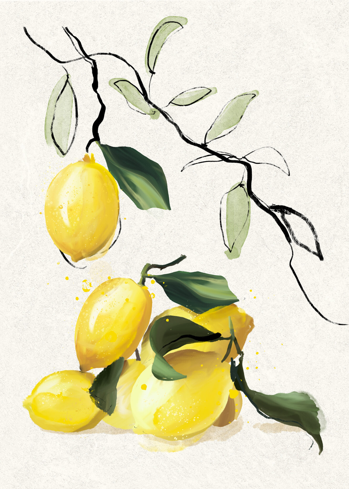 Limone - Illustratörcentrum