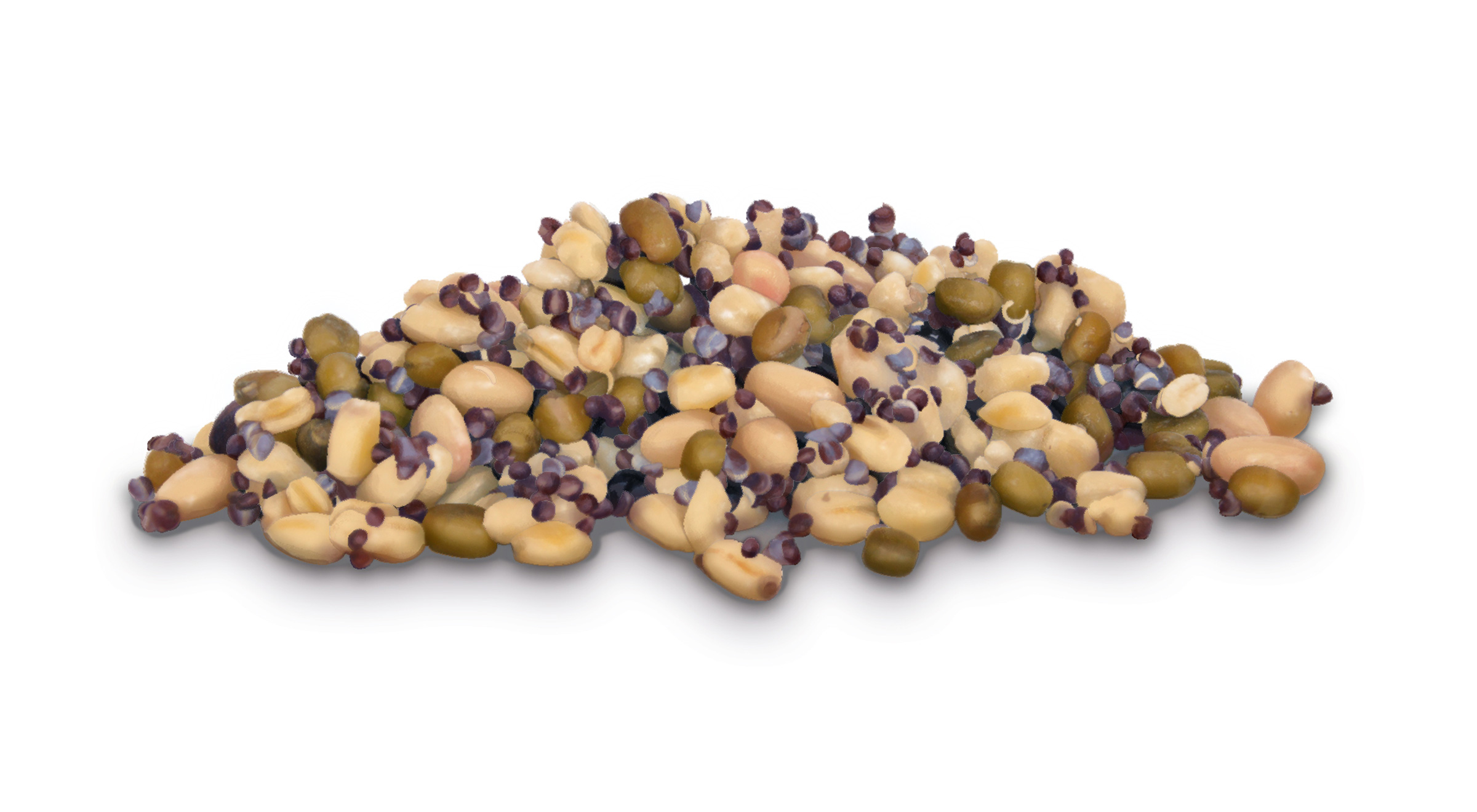 Förpackningsillustration för Bonduelles bönblandningar - Illustratörcentrum