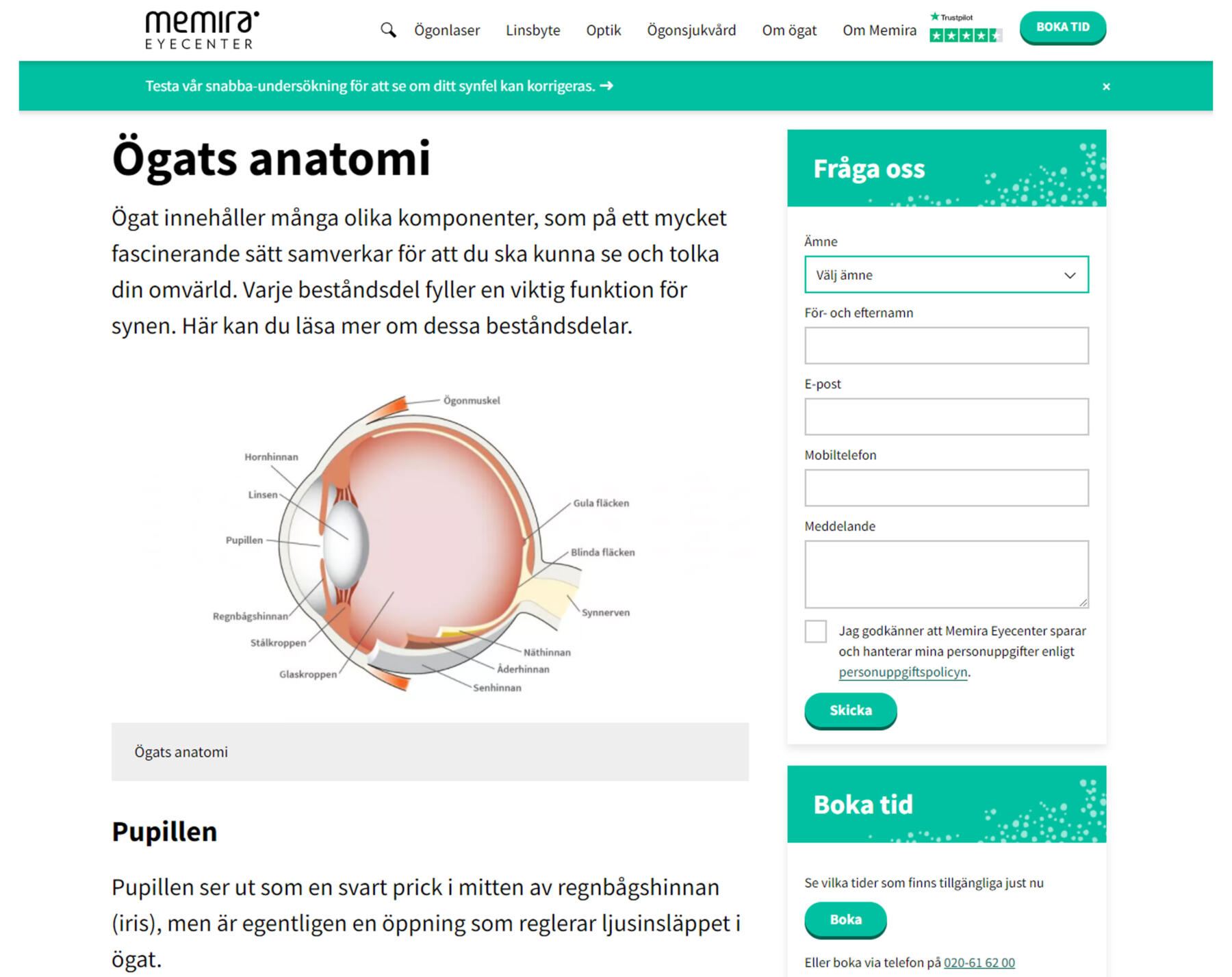Ögonsjukdomar - Illustratörcentrum