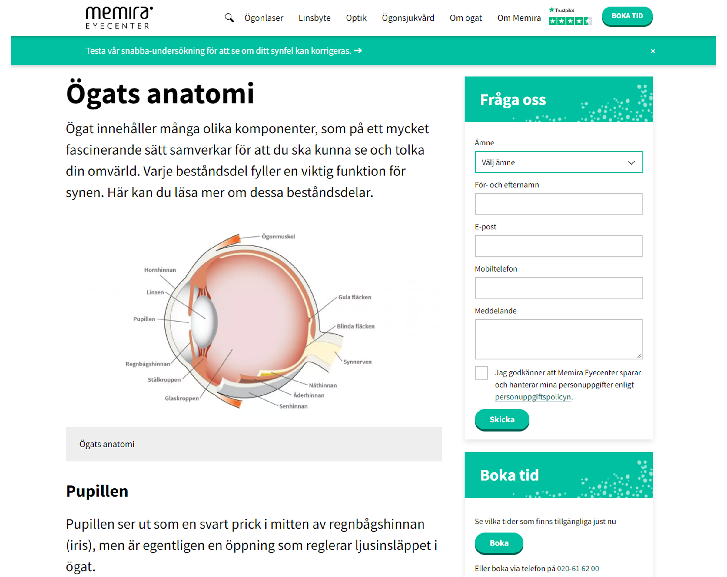 Ögonsjukdomar - Illustratörcentrum