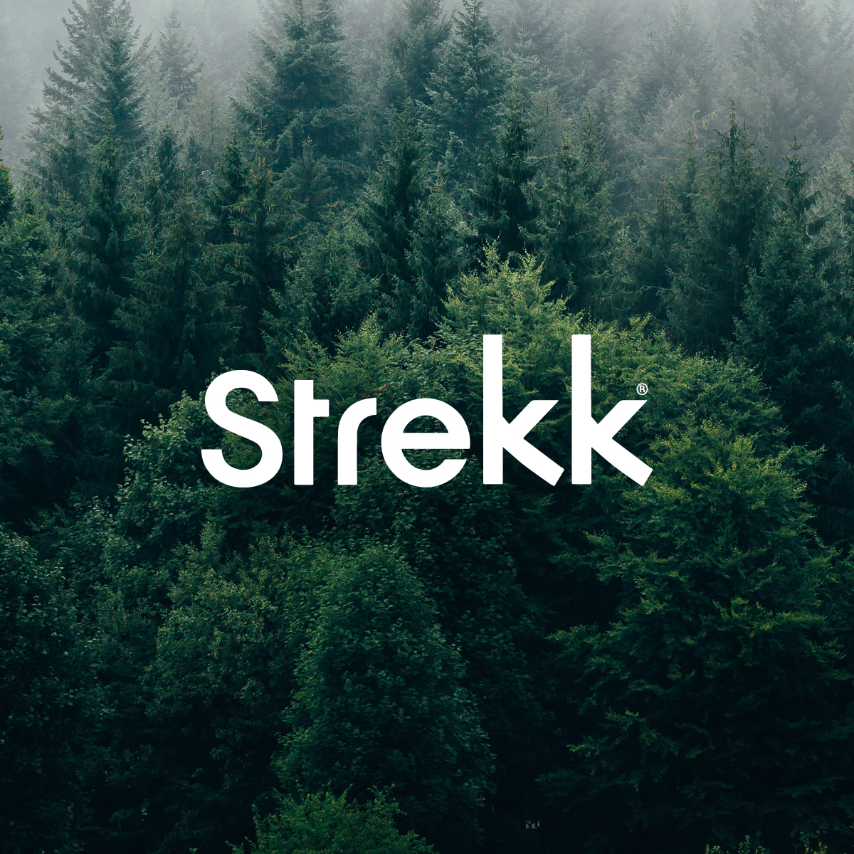 Karl-Magnus Boske at Illustratörcentrum