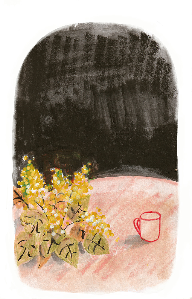 Sarah Andrews at Illustratörcentrum