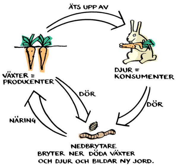 Kretslopp - Illustratörcentrum