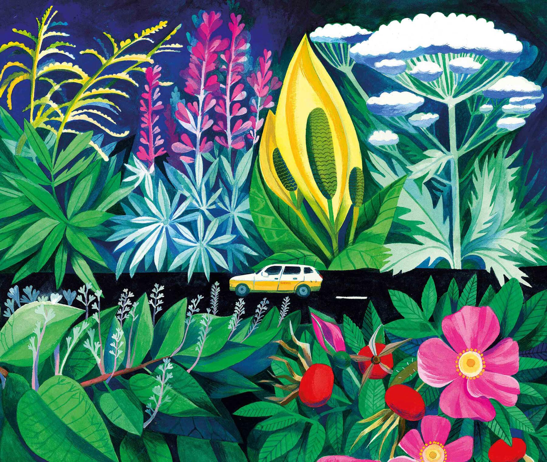 Invasiva arter - Illustratörcentrum